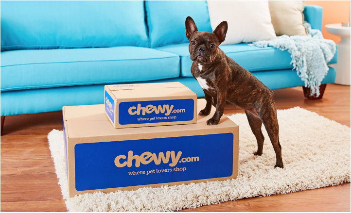 THE FOUNDER OF CHEWY.COM ON FINDING THE FINANCING TO ACHIEVE SCALE ...